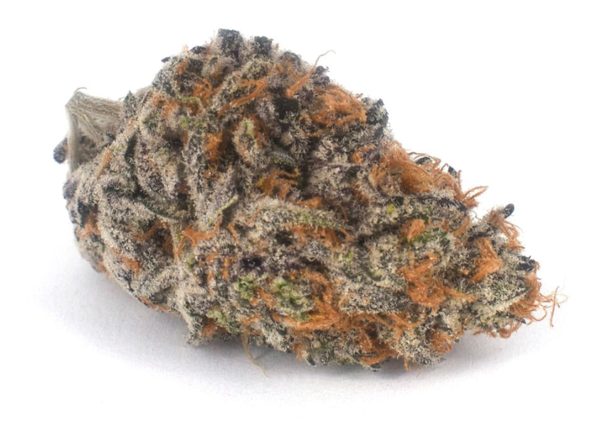 Dried Flower Sativas | High Point Centre